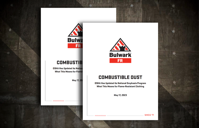 Combustible Dust: OSHA has updated its National Emphasis Program | Bulwark
