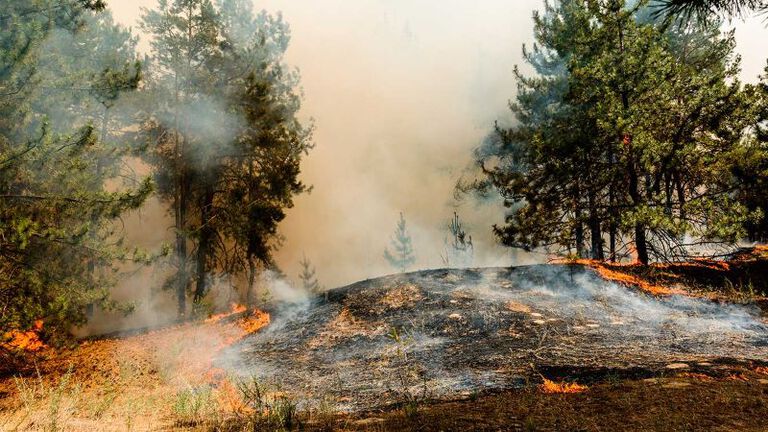 PROTECTION FOR THE WILDEST OF FIRES.